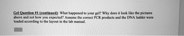SOLVED: Gel Qucstion #L(continued): What happened your gel? Why does look like the pictures ...