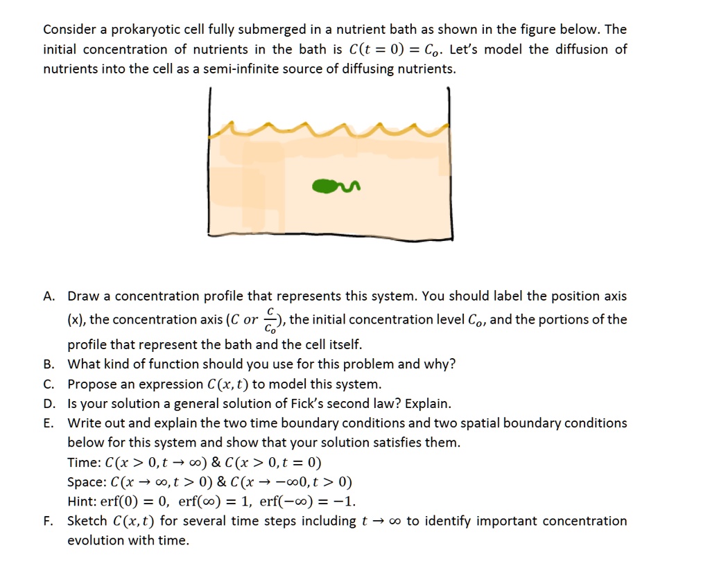 consider a prokaryotic cell fully submerged in a nutrient bath as shown ...