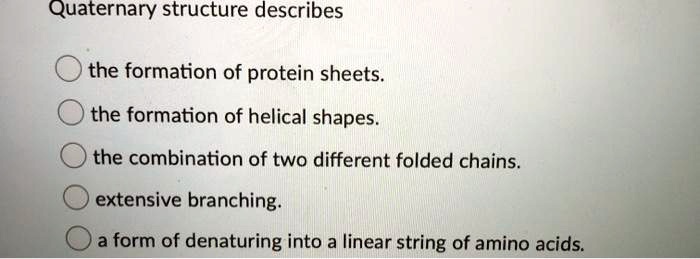 Solved Quaternary Structure Describes The Formation Of Protein Sheets The Formation Of Helical 