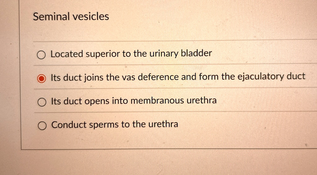 [GET ANSWER] seminal vesicles located superior to the urinary bladder ...