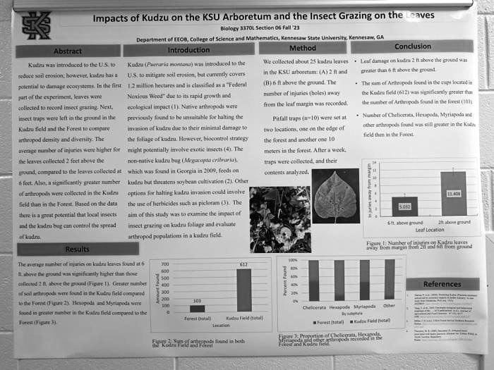 SOLVED: Using the poster in the image below, make a critique and ...