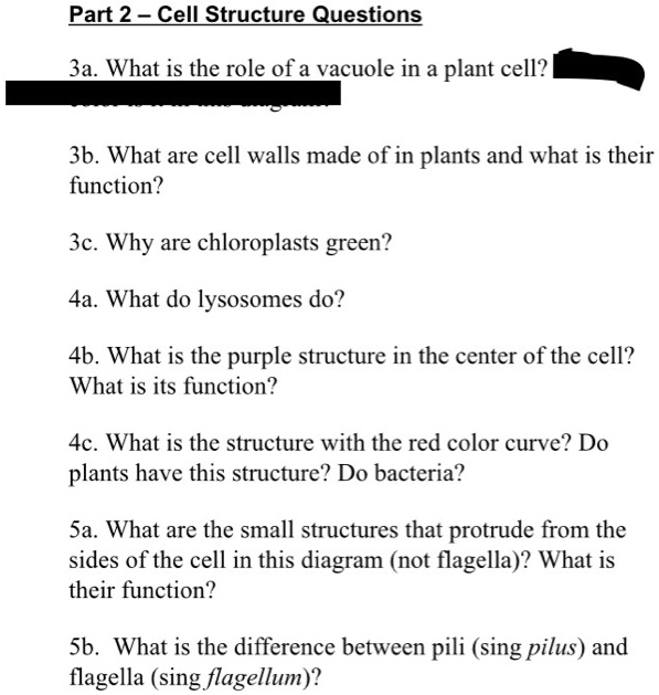 Part 2 - Cell Structure Questions 3a. What is the role of a vacuole in ...