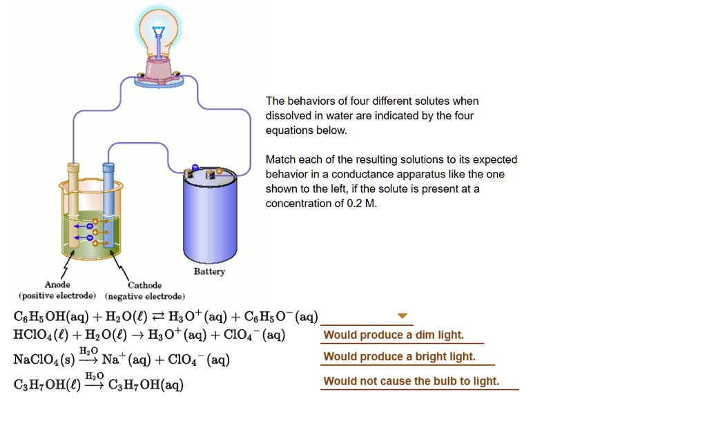 SOLVED: The behaviors of four different solutes when dissolved in water ...