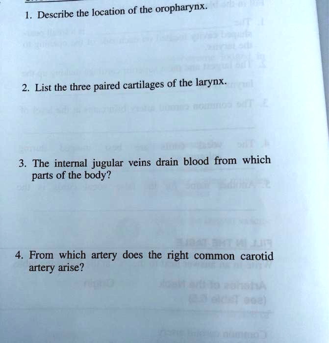 VIDEO solution: 1. Describe the location of the oropharynx. 2. List the ...