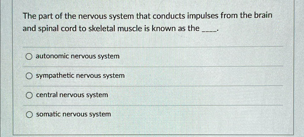 The part of the nervous system that conducts impulses from the brain ...