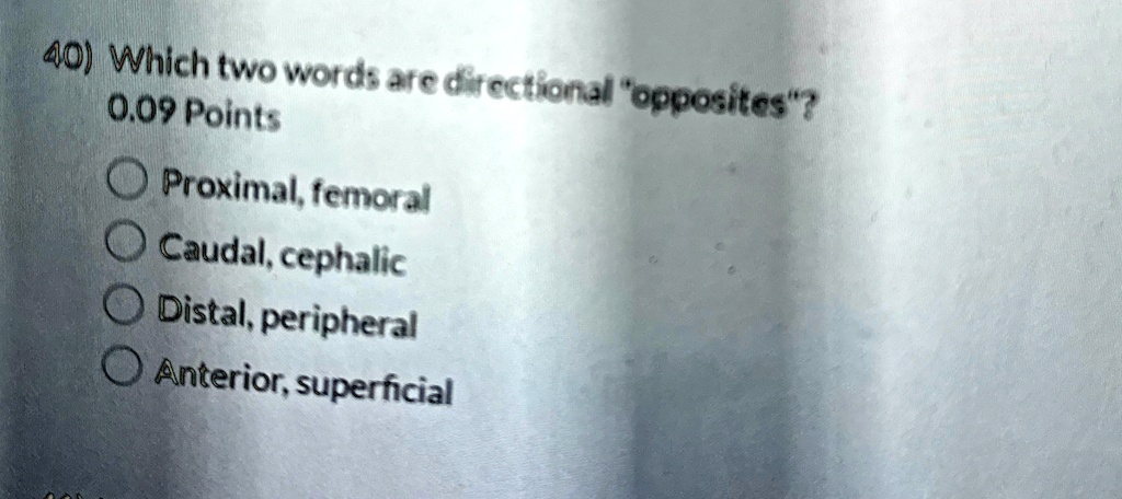 40 which two words are directional opposites 009 points proximal ...