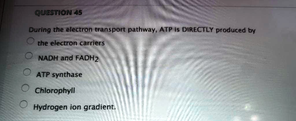 SOLVED: QUESTION 45 During the electron transport pathway, ATP Is DIRECTLY produced by the ...