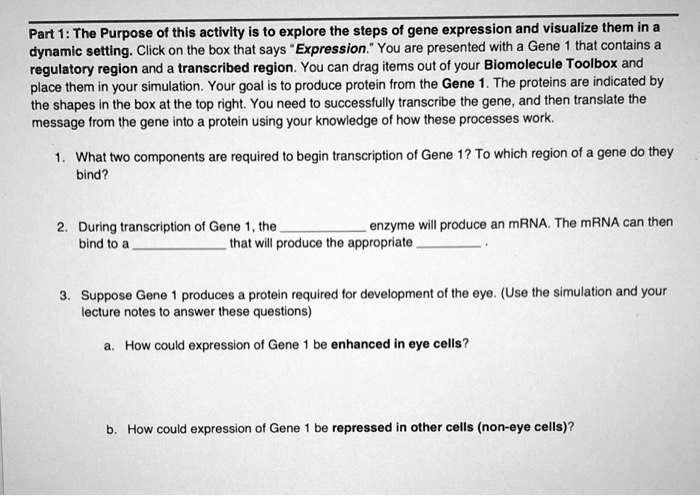 Part 1: The Purpose of this activity is to explore the steps of gene ...