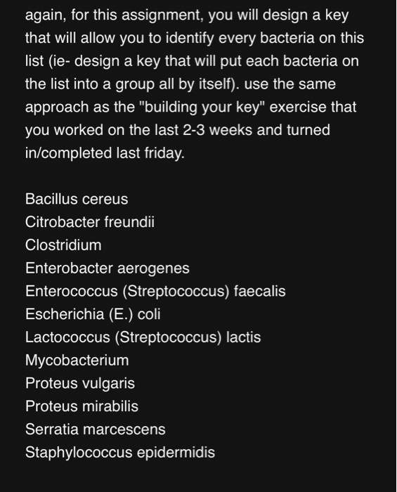 Enterobacter Aerogenes Negative Stain