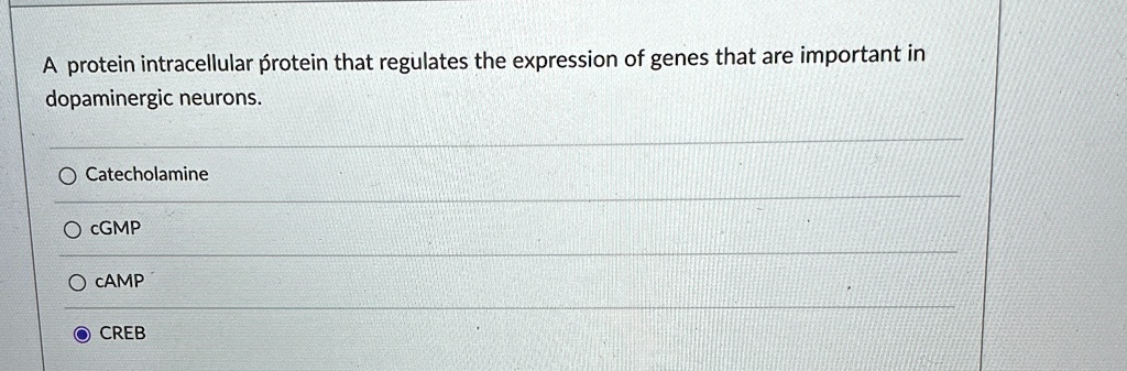 A protein intracellular protein that regulates the expression of genes ...