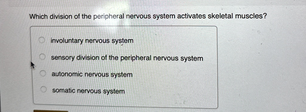 Which division of the peripheral nervous system activates skeletal ...