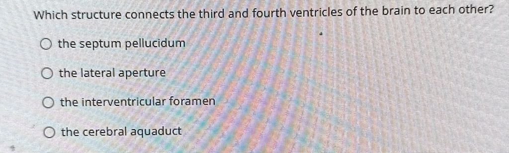 which structure connects the third and fourth ventricles of the brain ...
