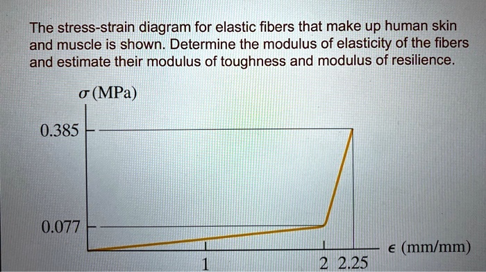 the stress strain diagram for elastic fibers that make up human skin ...