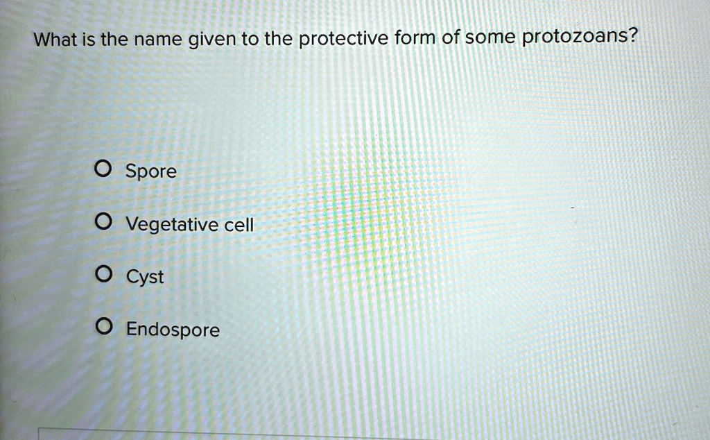 What is the name given to the protective form of some protozoans? O ...