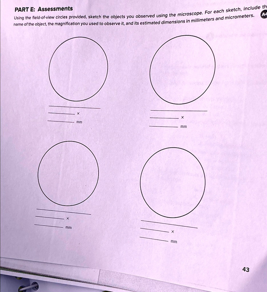 PART E: Assessments Using the field-of-view circles provided, sketch ...