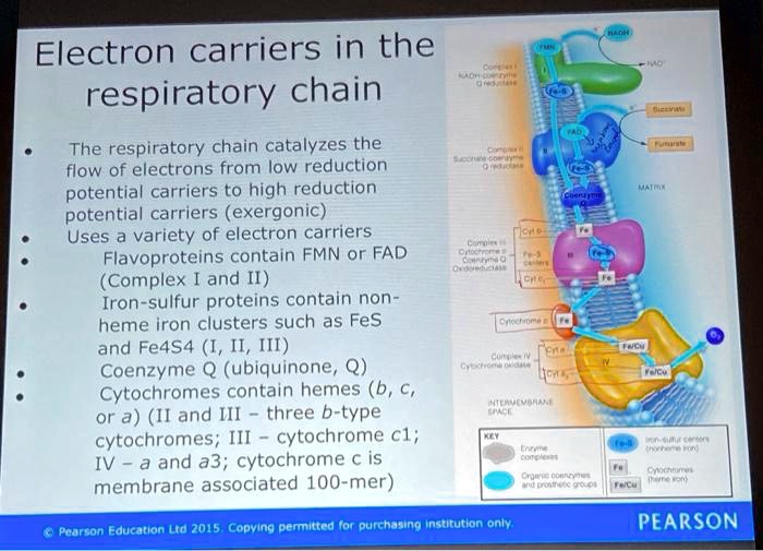 SOLVED: Text: Need help understanding this chart. Where did the FMN and ...