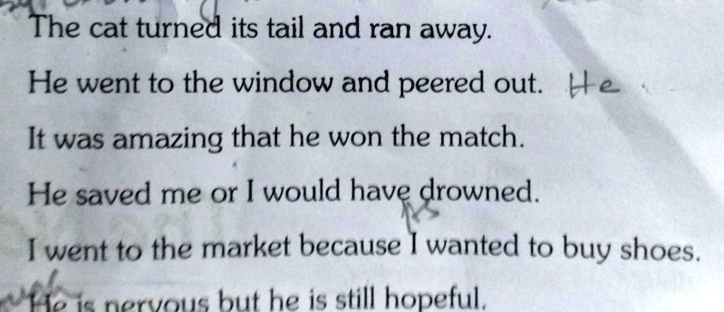 SOLVED: 'convert these sentences into simple sentences'