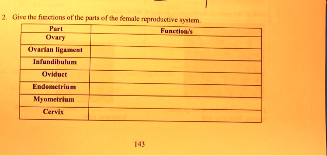 SOLVED: Give the functions of the parts of the female reproductive ...