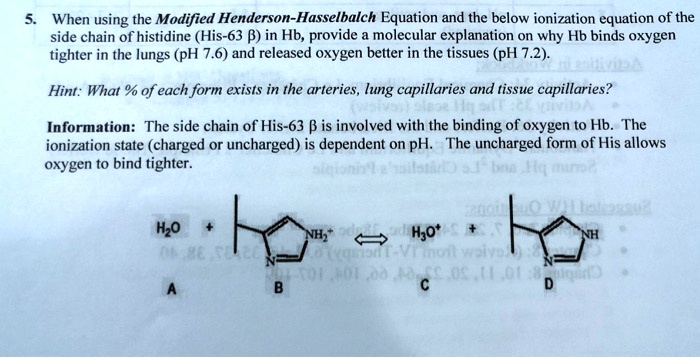 when using the modified henderson hasselbalch equation and the below ...