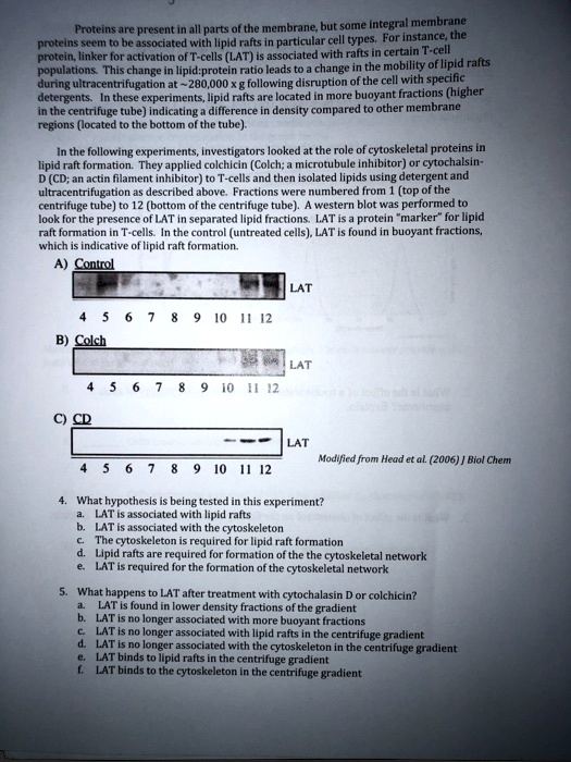 proteins ar2 but some integral membrane present in all parts of the ...