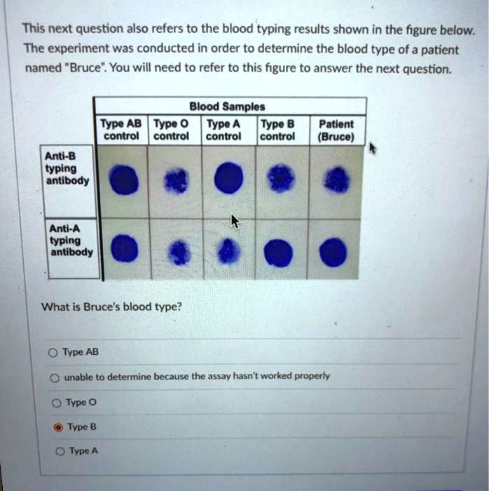 this next question also refers to the blood typing results shown in the ...