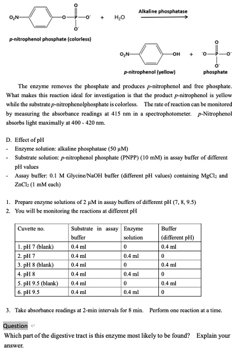 SOLVED: Alkaline phosphatase H2O p-nitrophenol phosphate (colorless) O,N- P-nitrophenol (yellow ...