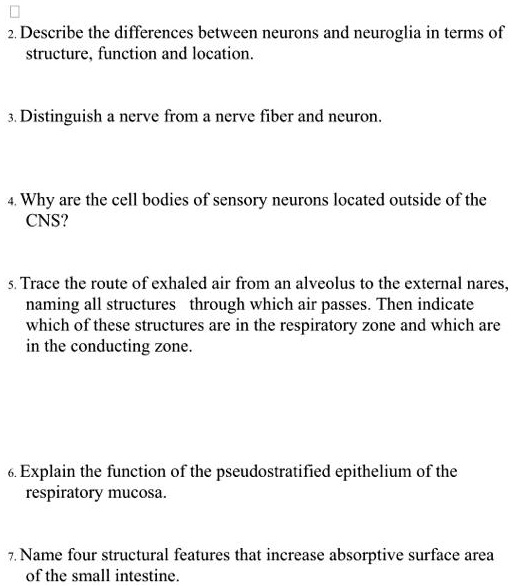 SOLVED: 2.Describe the differences between neurons and neuroglia in ...