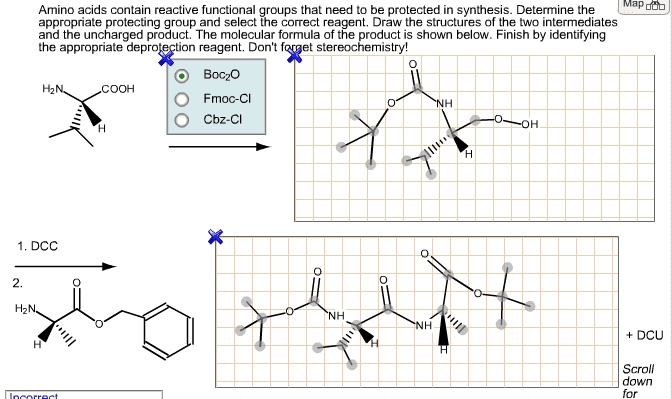 Many amino acids contain reactive functional groups that need to be ...