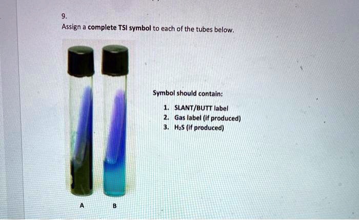 9. Assign a complete TSI symbol to each of the tubes below. A B Symbol ...