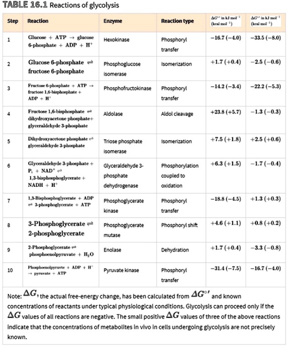 table 161 reactions of glycolysis mde lede munl ma ne step reaction ...