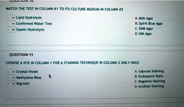 cwuc hutu match the test in column 1 to its culture medium in column 2 ...