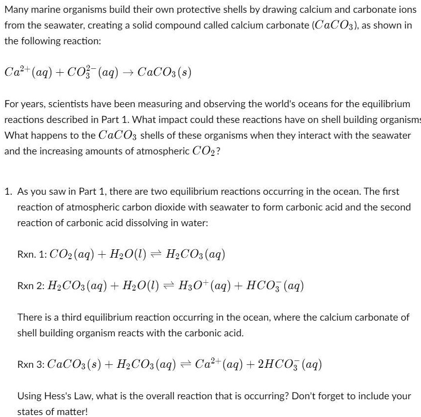 Calcium Carbonate Shells