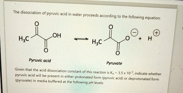 the dissociation of pyruvic acid watom proceeds according to the ...