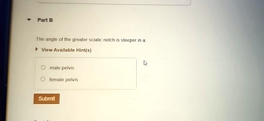 Part B The angle of the greater sciatic notch is steeper in a: - male ...
