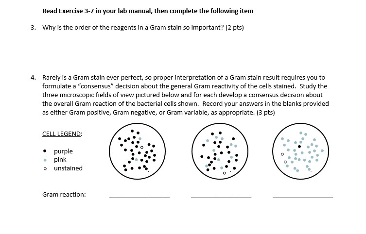 SOLVED:Read Exercise 3-7 in your lab manual, then complete the ...