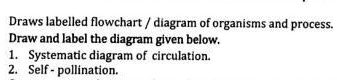 Draws labelled flowchart/diagram of organisms and process. Draw and ...