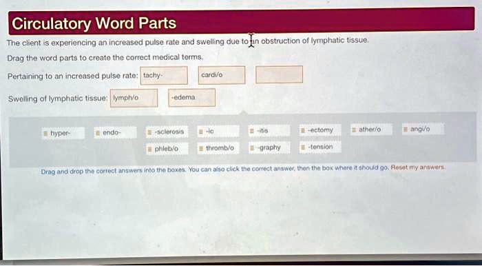Text: Circulatory Word Parts The client is experiencing an increased ...
