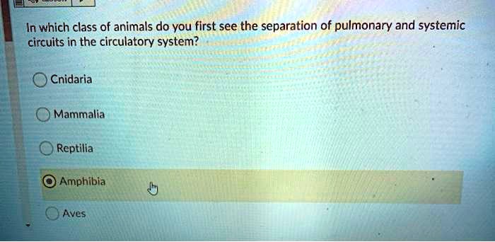 in which class of animals do you first see the separation of pulmonary ...