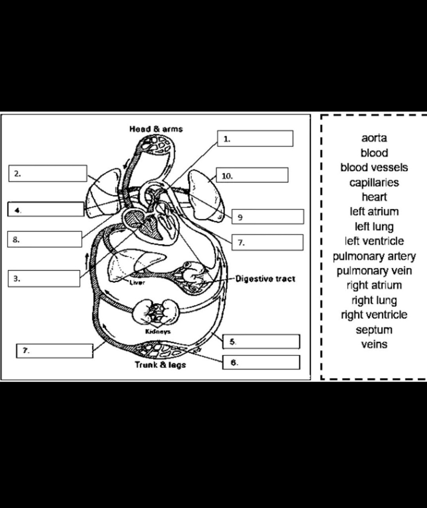 SOLVED: Label the parts of the diagram below. Please answer it properly ...