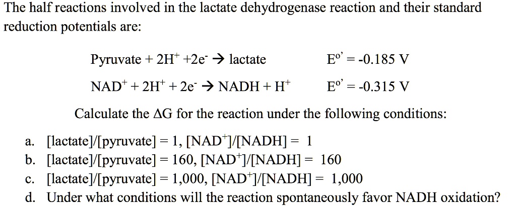 The half reactions involved in the lactate dehydrogenase reaction and ...