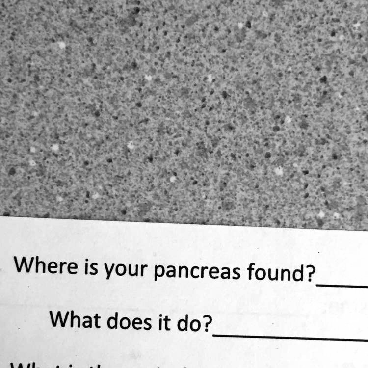 SOLVED: 'What is your pancreas and what does it do Where is your ...
