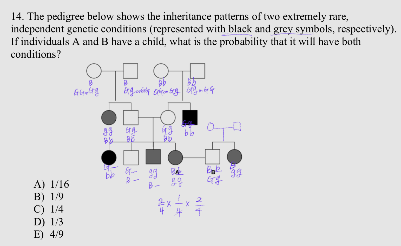 14 the pedigree below shows the inheritance patterns of two extremely ...