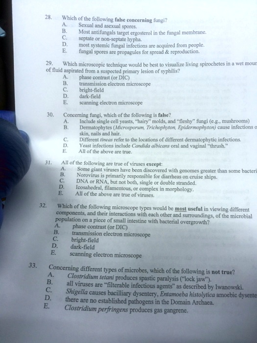 which ofthe following false concerning fungi sexual and ascxual snores ...