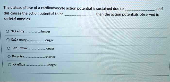 The plateau phase of a cardiomyocyte action potential is sustained due ...