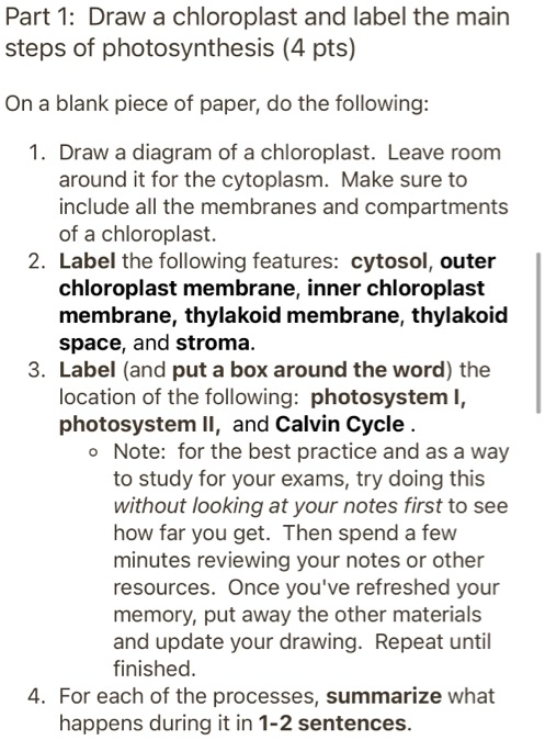 Part 1: Draw a chloroplast and label the main steps o… - SolvedLib