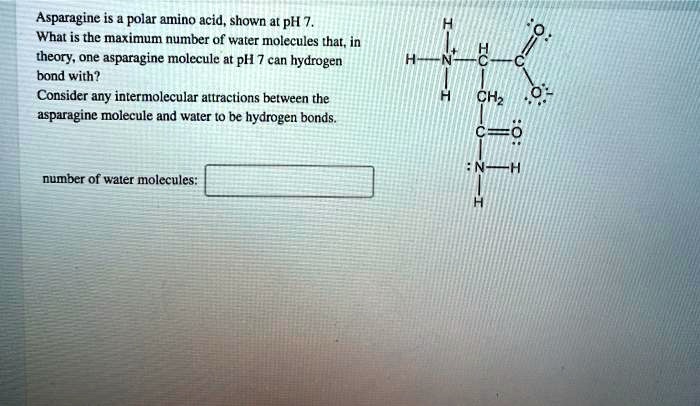 Asparagine is polar amino acid shown at ph 7 what is the...