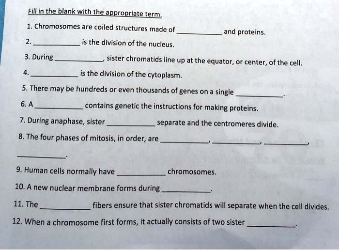 SOLVED: Fillinthe blank with the appropriate term Chromosomes are ...