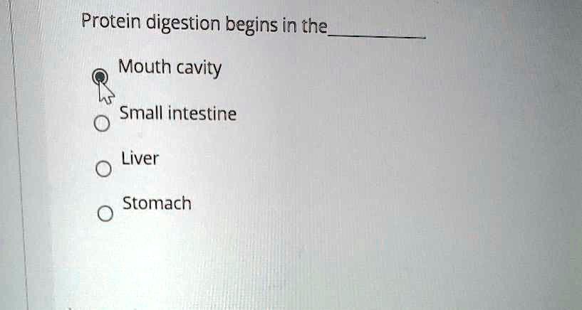 SOLVED: Protein digestion begins in the Mouth cavity Small intestine ...