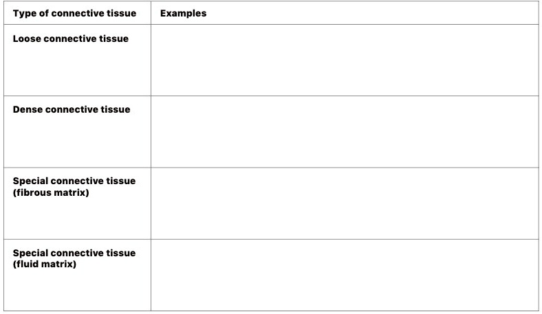 SOLVED: 'Type of connective tissue Examples Loose connective tissue ... SOLVED: 'Type of connective tissue Examples Loose connective tissue ...