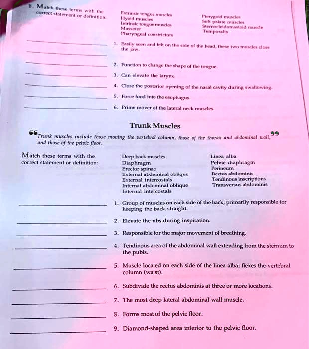 SOLVED: 8. Match these terms with the correct statement or definition ...